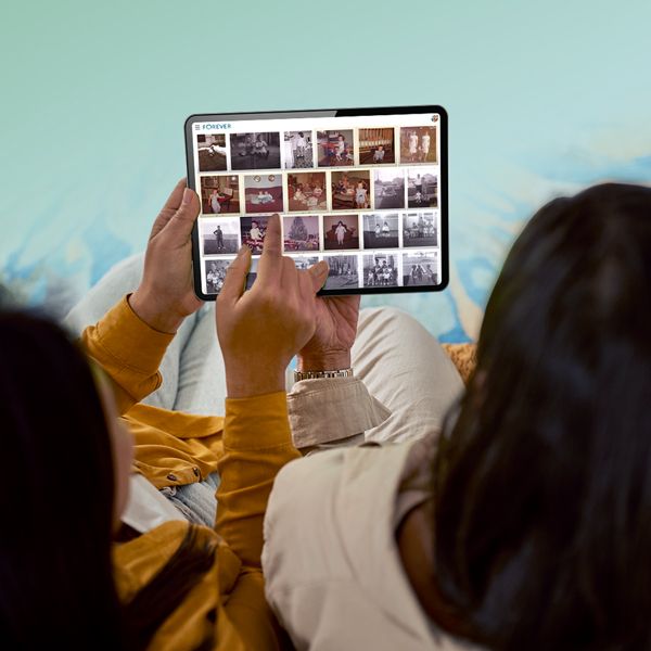 FOREVER Digitization Holiday Box | FOREVER.com